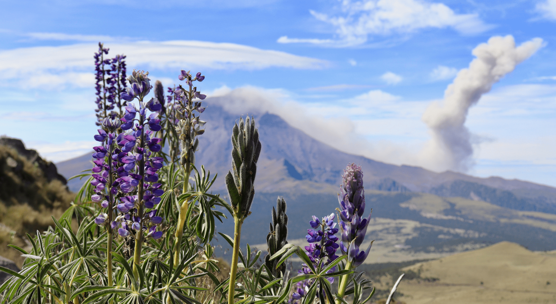 Izta-Popo National Park in Mexico — Luxury Tailor-Made Holidays