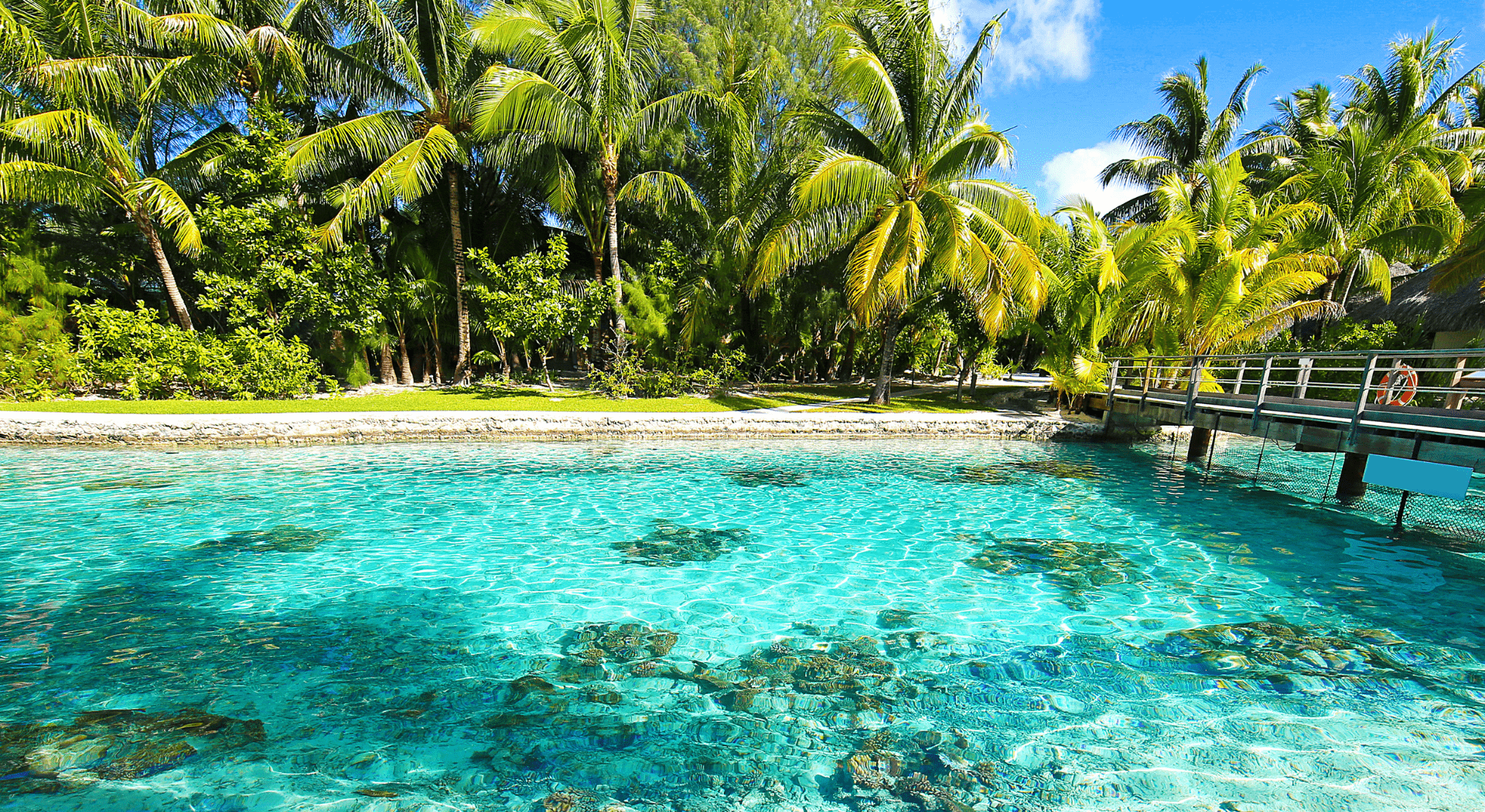 Bora Bora | Luxury Hotels | Out Of Office
