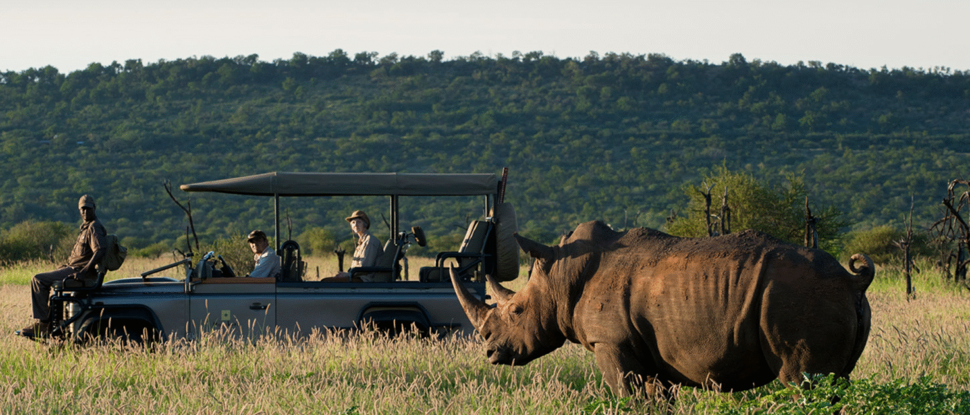 South Africa Big Five Safari & Johannesburg Tour