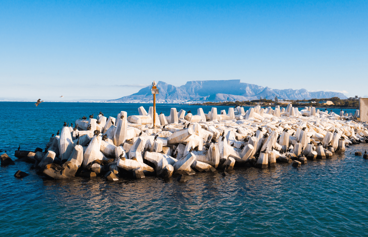 Robben Island in South Africa — Luxury Tailor-Made Holidays & Tours